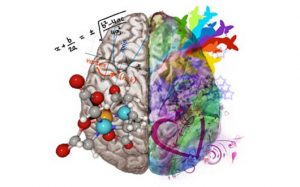 Emisfera dreaptă vs. Emisfera stângă. Ce parte a creierului folosești ...